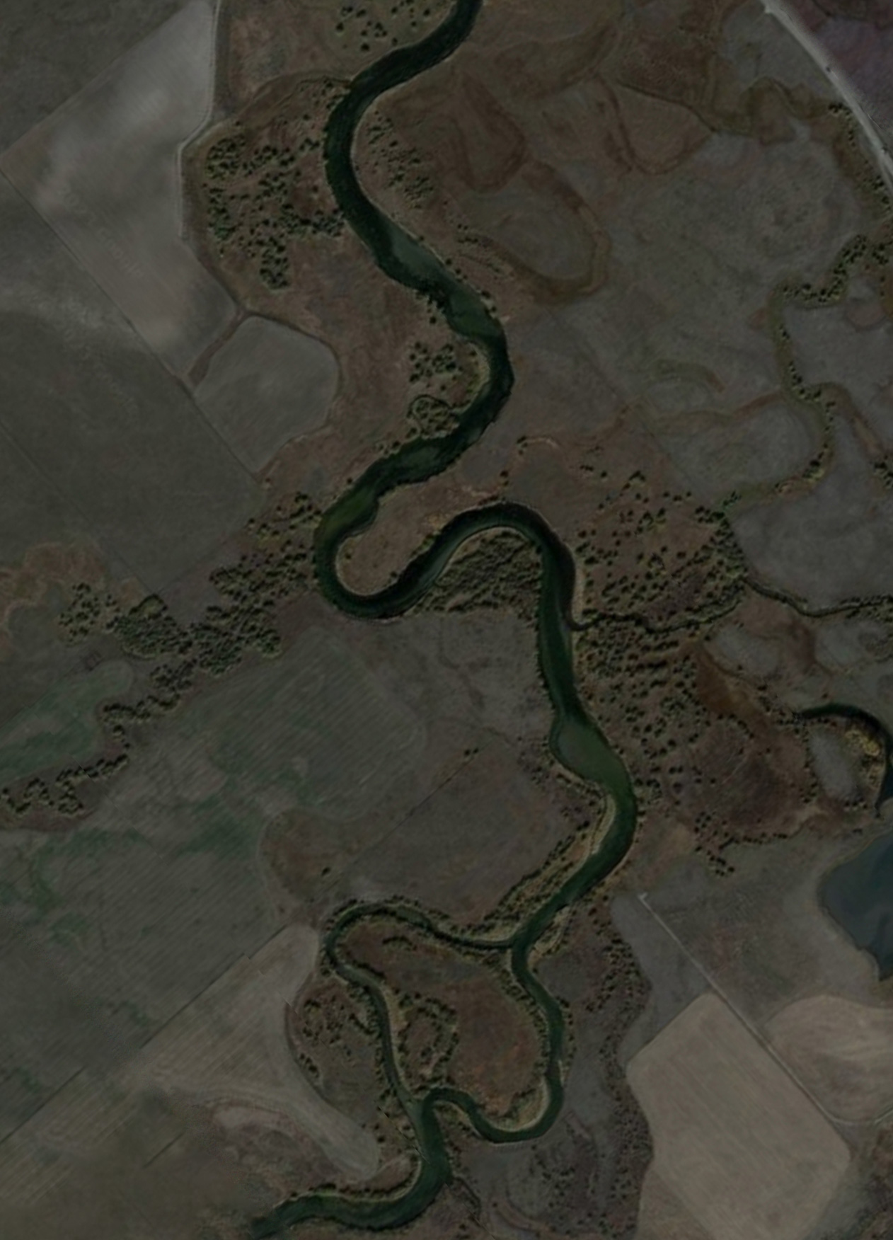 Friends of the Teton River